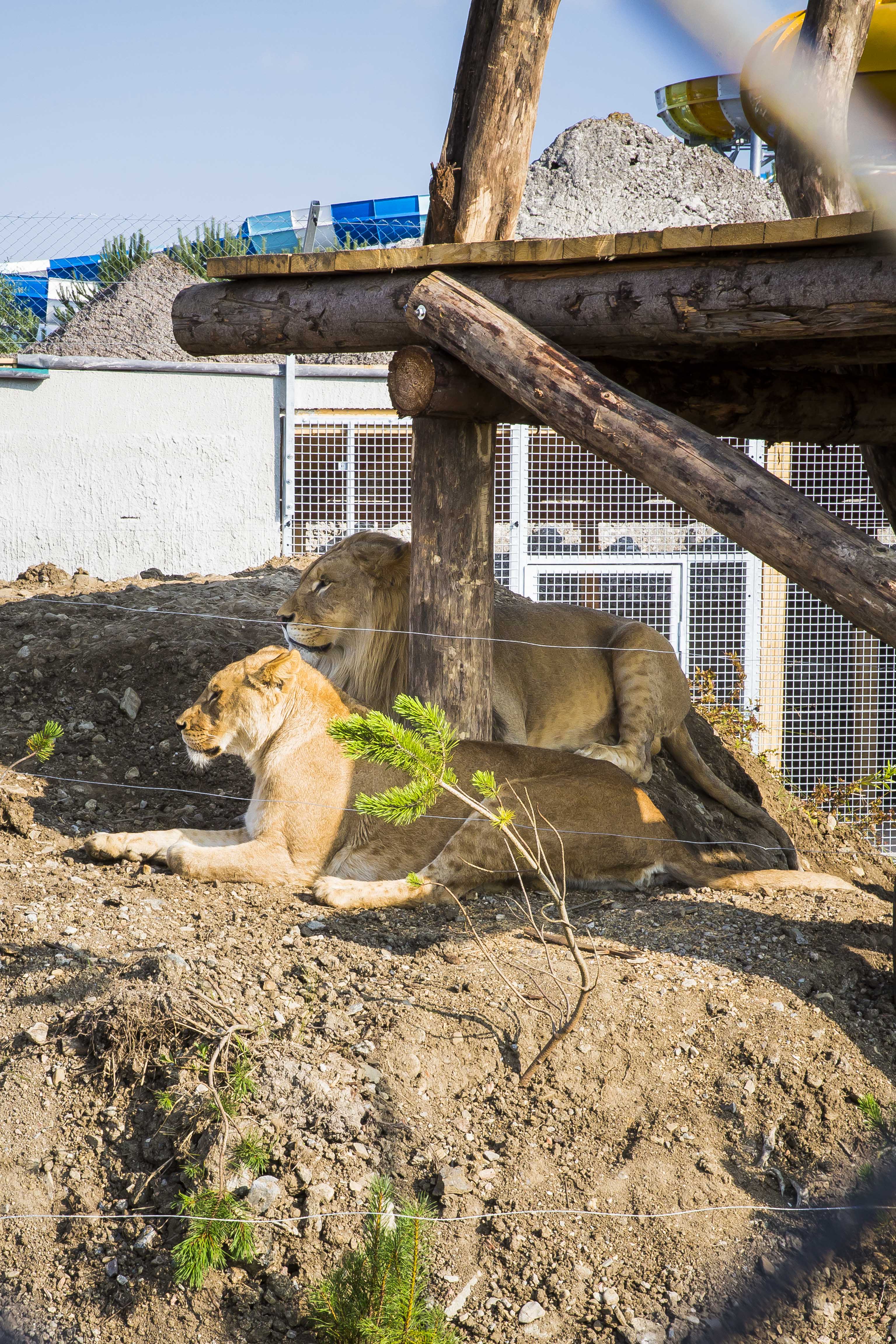 ZOOKONTAKT Tatralandia