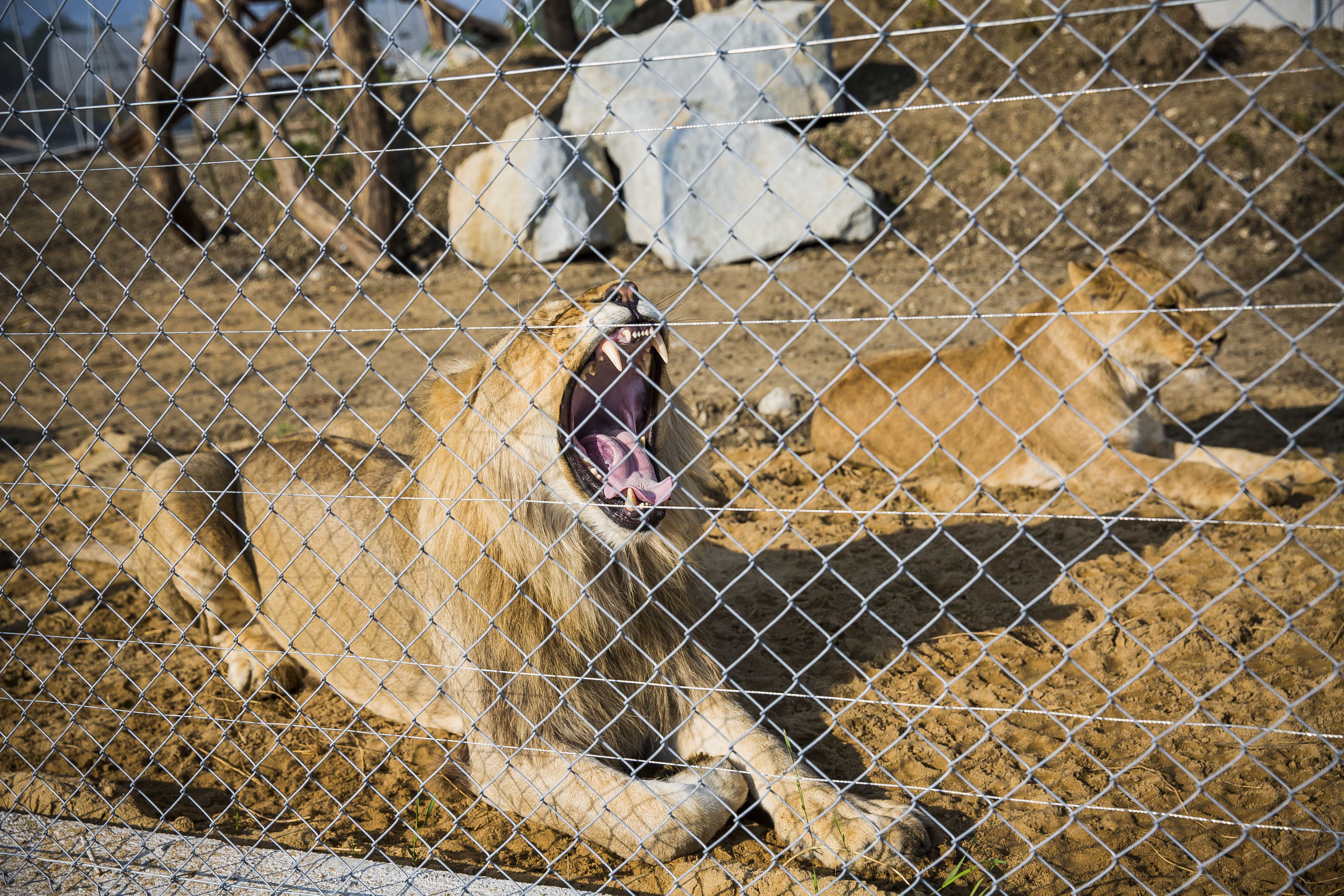 ZOOKONTAKT Tatralandia